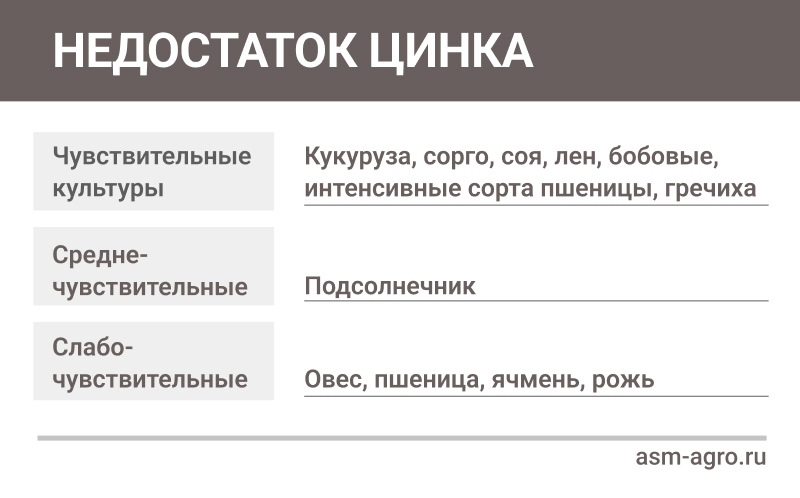 Цинк для растений: польза и применение — ASM-AGRO